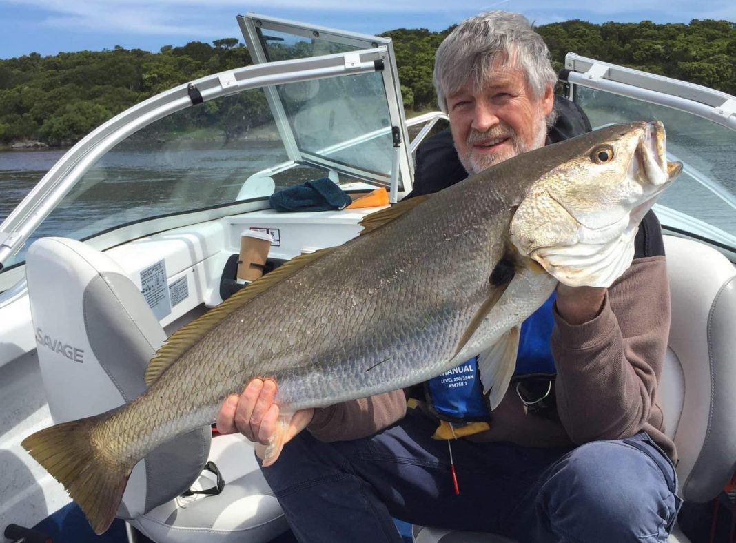 Big mulloway in a fantastic week | Geelong Independent