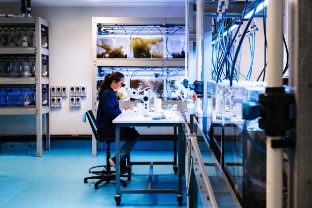 Deakin hits top 200 in the world | Geelong Independent